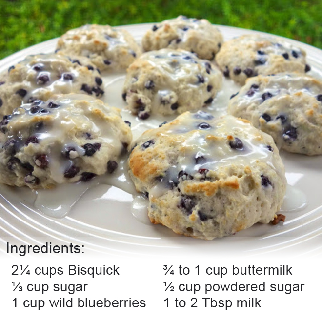💜Quick Blueberry Biscuits🍪 - 🌺 Lynn Blog - Journey In My Kitchen